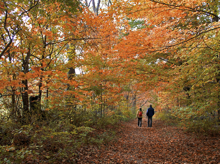 Things To Do in New Buffalo | Lake Michigan | Marina Grand Resort
